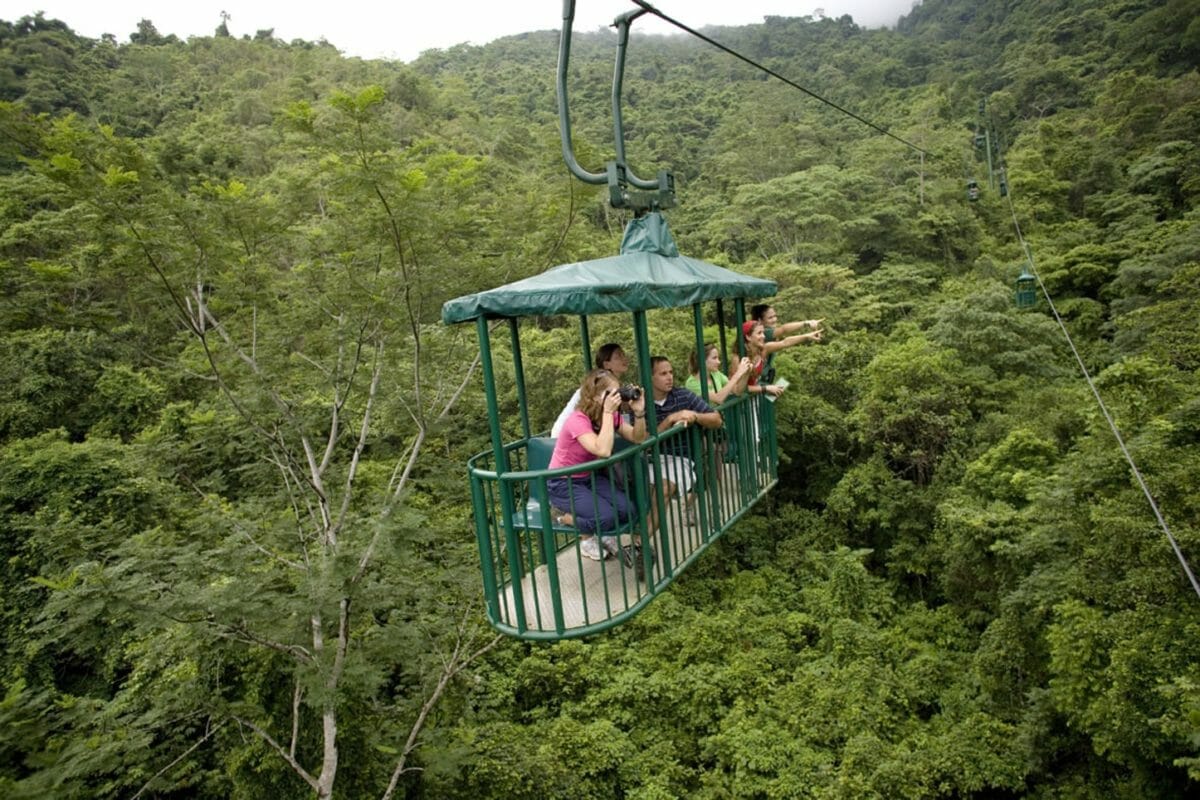 AERIAL TRAM | Rainforest Adventures