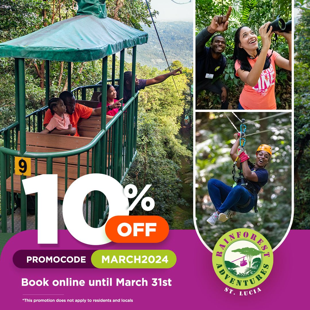 Nature and Adventure Tour in St.Lucia | Rainforest Adventure