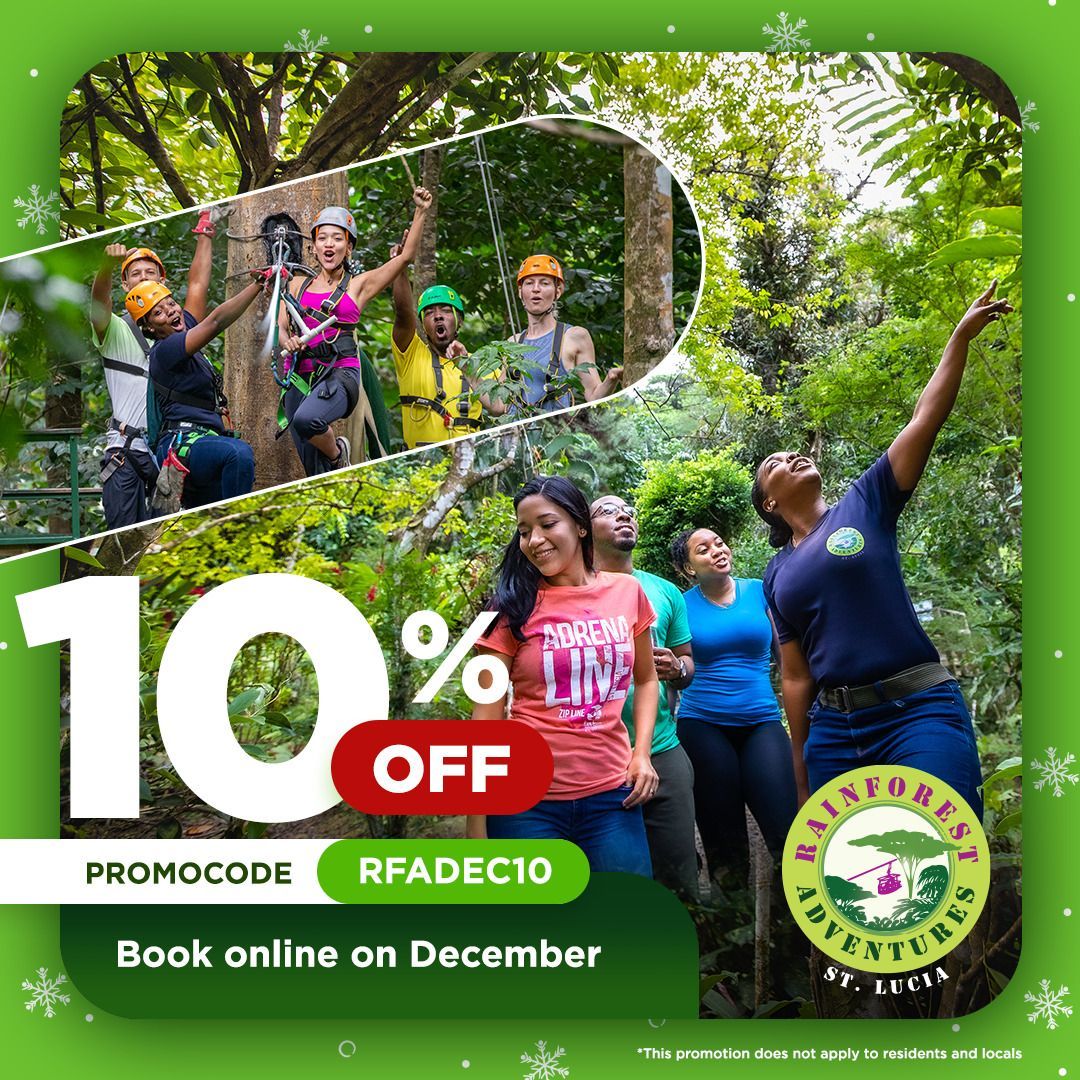 Nature and Adventure Tour in St.Lucia | Rainforest Adventure