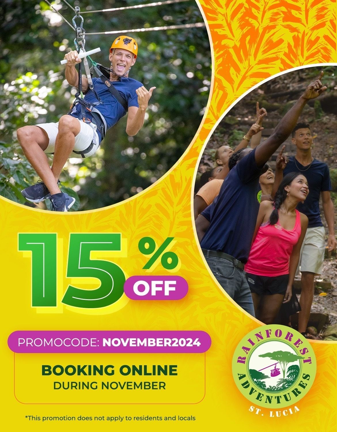 Nature and Adventure Tour in St.Lucia | Rainforest Adventure